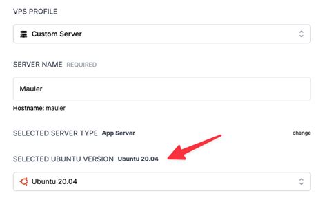 Can I Use Ubuntu 20046 Focal Fossa Server Provisioning And