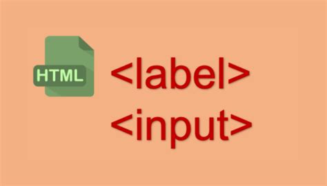 Các Loại Input Trong Html Webskilllab