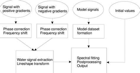 7 1 Flowchart Of Data Preprocessing And Spectral Fitting Download