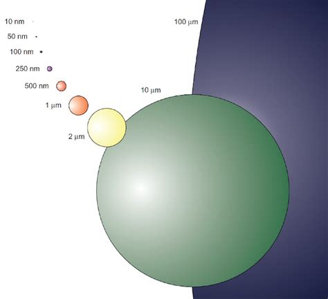 General Considerations For Biomolecule Conjugation To Beads Particles