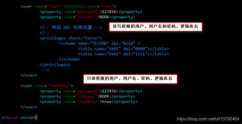Mycat配置mysql读写分离 入门mycat Zk Csdn博客