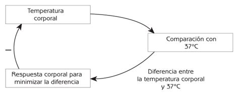 Mecanismos De Retroalimentación Asociados Al Cambio Climático
