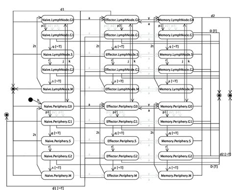 The Underlying Directed Graph Behind Fig 3 The Greyed Out Transitions Download Scientific
