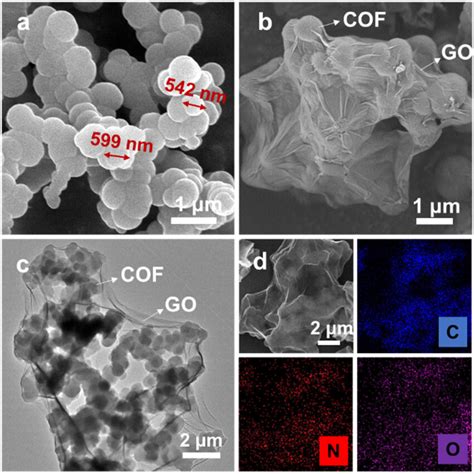 SEM Images Of A COF B COF GO C TEM Images Of COF GO D SEM Download Scientific