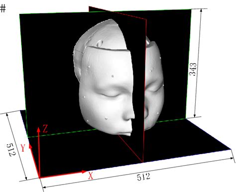 Schematic Diagram Of The Binarized Three Dimensional Grid Map Download Scientific Diagram
