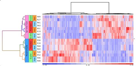 hierarchical cluster analysis of transcription profiles on recombined