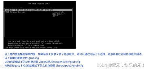 你好，openeuler （十、openeuler启动管理）openeuler 开机启动 Csdn博客