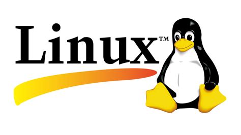 27 essential linux commands every developer should know to boost