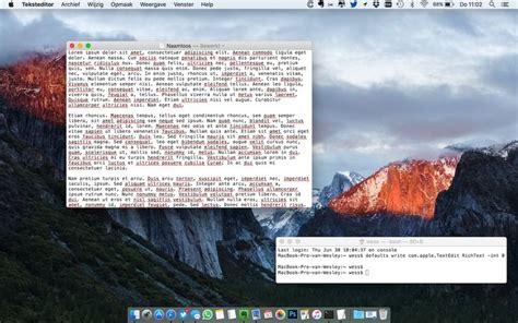 use plain text as default format in textedit plain default text