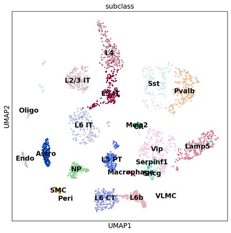 Spatial Transcriptomics