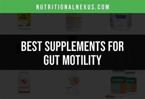 Top 13 Supplements For Gut Motility You Must Try