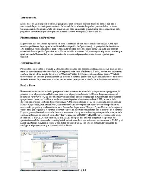 Introducción Pdf Java Lenguaje De Programación Frijoles Netos