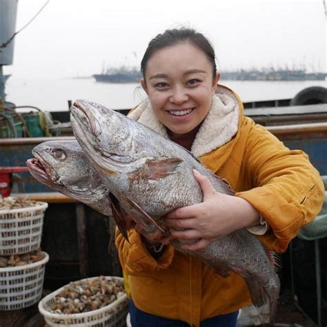 Beachcomber Zhang Youtube