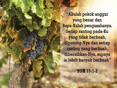 Pelita Hati: 13.05.2020 – Menjadi Ranting yang Berbuah | SESAWI.NET