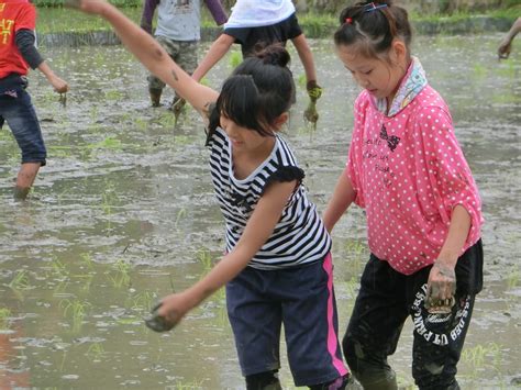 ロリコンホイホイスレ【js】【jc】【jk】 光速がぞうちゃんねる