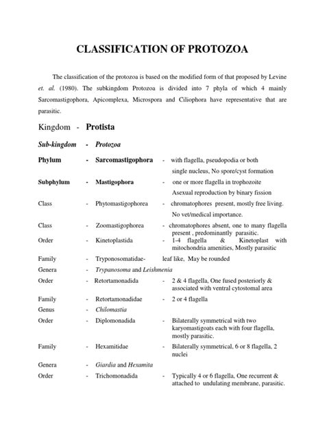 lecture 4 pdf pdf