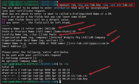Configure And Protect An Oracle Integration Process Custom Endpoint