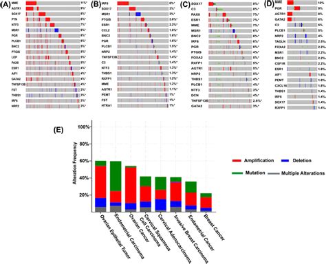 Sample Based Mutational Patterns For The Twenty Genes With The Highest