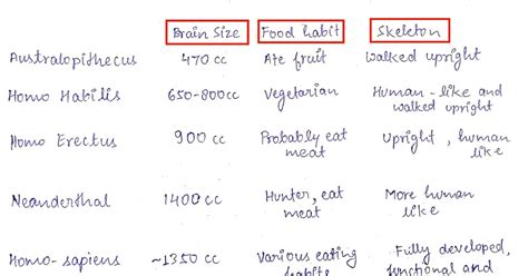 Evolution Mind Map For Neet And Class 12 Genetics Unit