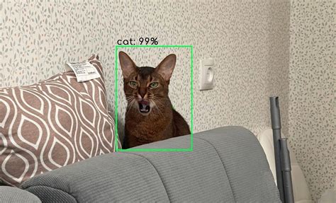 Object Detection Frameworks That Will Dominate 2023 And Beyond Hackernoon