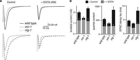 Neurexin And Neuroligin Mediate Retrograde Synaptic Inhibition In C Elegans Pmc