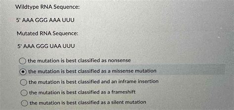 solved wildtype rna sequence 5 aaa ggg aaa uuu mutated rna