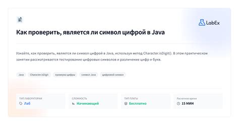 Как проверить является ли символ цифрой в Java Labex