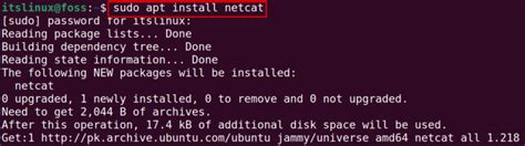 how to ping a specific port its linux foss