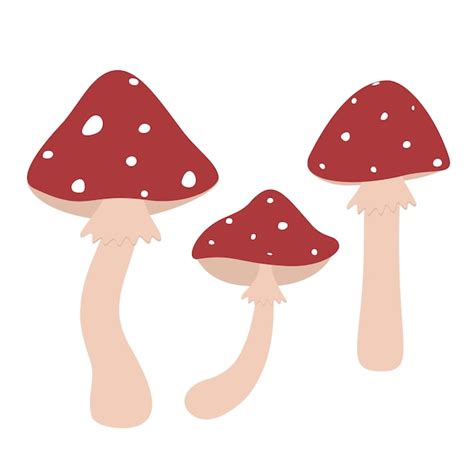 생생한 비행 Agaric 버섯 세트 프리미엄 벡터
