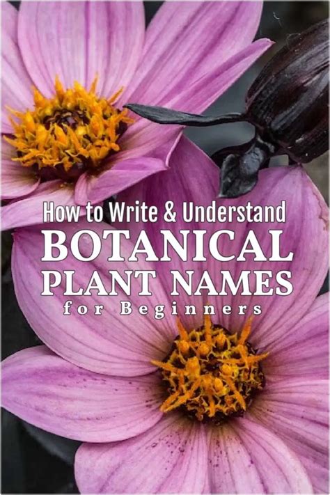 How To Write Botanical Plant Names Tips For Gardeners