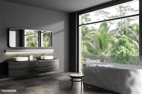 파노라마 창문 근처에 더블 세면대와 욕조가 있는 회색 욕실 인테리어 0명에 대한 스톡 사진 및 기타 이미지 0명 3차원 형태 가구 Istock