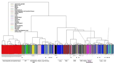 Cancer Cell Line Encyclopedia — Five Key Discoveries Seven Bridges