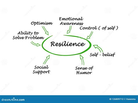 What Contribute To Resilience Stock Illustration Illustration Of