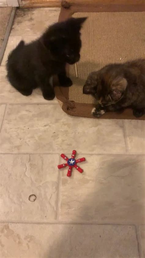 Fidget Tapper Scrolller