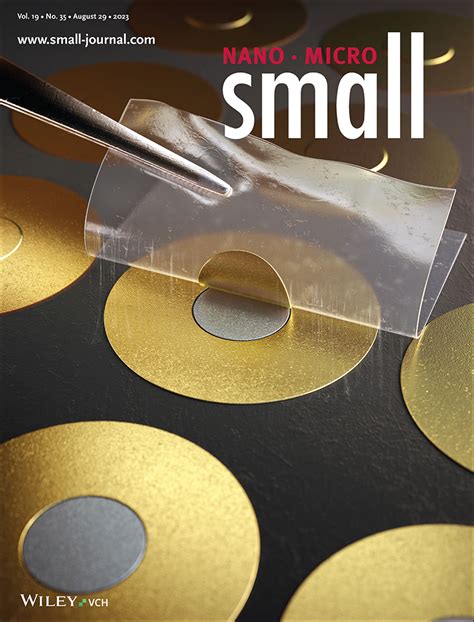 Ultrasensitive Terahertz Biodetection Enabled By Quasi‐bic‐based