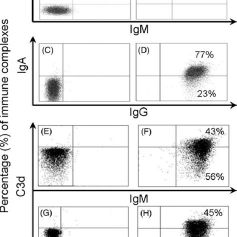 Flow Cytometry Dot Plot Examples Dot Plot Flow Cytometry Analysis Of