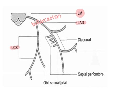 Unit 3 Session 12 Cv Principles Flashcards Quizlet