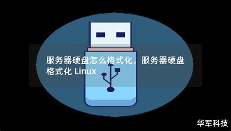 服务器硬盘怎么格式化，服务器硬盘格式化 Linux恢复教程恢复资讯技王数据恢复 技王数据恢复中心