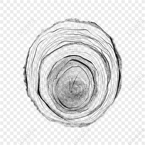 Annual Ring Log Material Graytreelog Drawingring Sketch Png