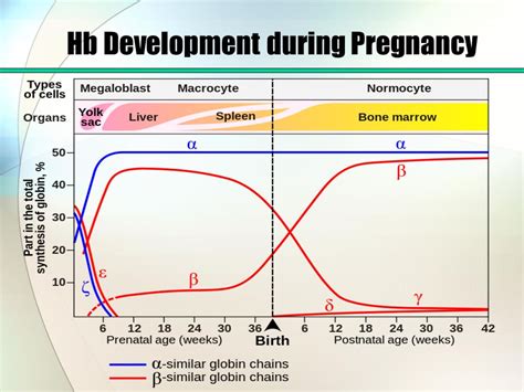 พีรเดช บูรณวรฐิติกุล Department Of Obstetrics And Gynecology Faculty Of Medicine Chiang Mai