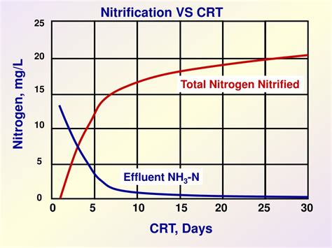 PPT Nitrification And Denitrification PowerPoint Presentation Free Download ID