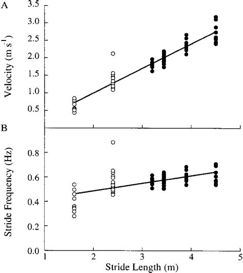 Forward Velocity A And Stride Frequency B As A Function Of Stride