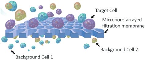 A Schematic Illustration Of The Principle Of Micropore Arrayed