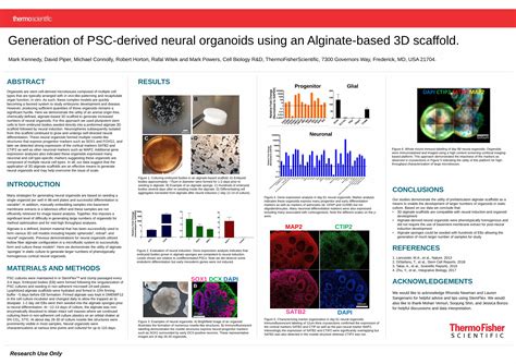 Pdf Generation Of Psc Derived Neural Organoids Using An Assets