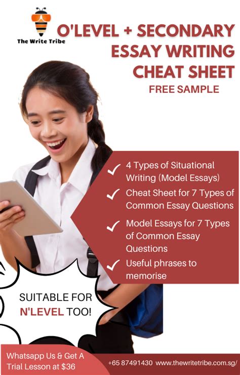 O Level Sec Essay Writing Cheat Sheet TheWriteTribeSingapo