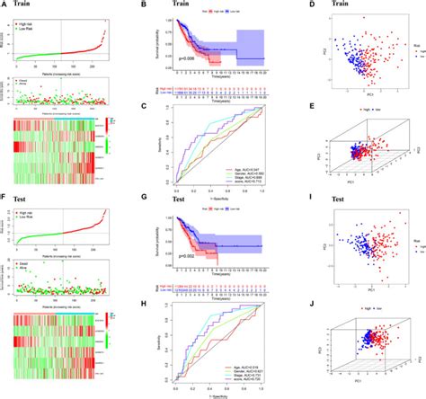 Construction Of A Ferroptosis Related Long Non Coding RNA Prognostic Signature And Competing
