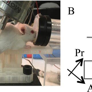 Offaxis Tibia Compression Device A Loads Are Applied To The Distal Download Scientific