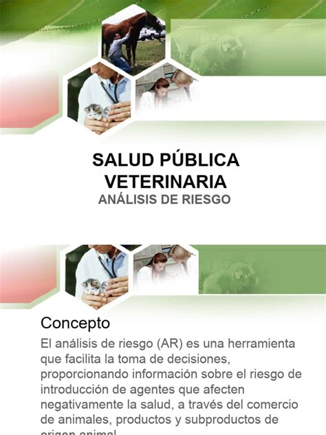 Análisis De Riesgo En Salud Animal Pdf Riesgo Probabilidad