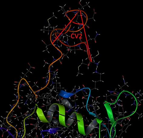 Definition Of Collective Variables Used For Dynamics Simulation Of The Download Scientific