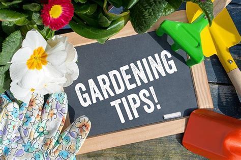 Gardening Tips Course with the Gardening Express experts - Gardening Express Knowledge Hub